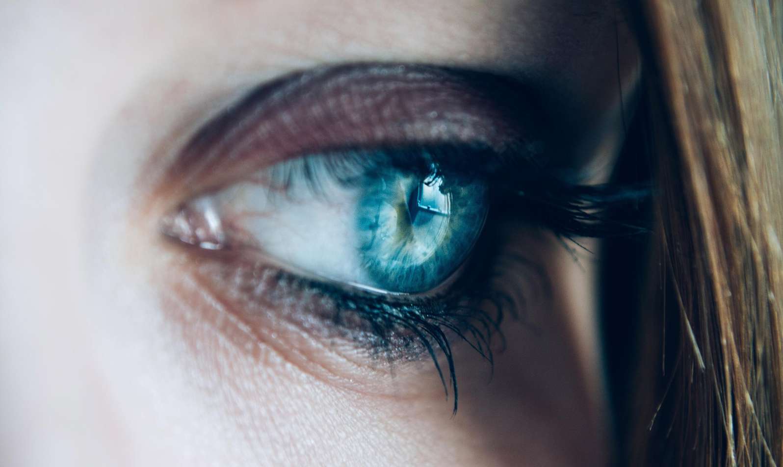 The Horizontal Gaze Nystagmus Test A Guide For Wisconsin OWI The Horizontal Gaze Nystagmus Test A Guide For Wisconsin OWI